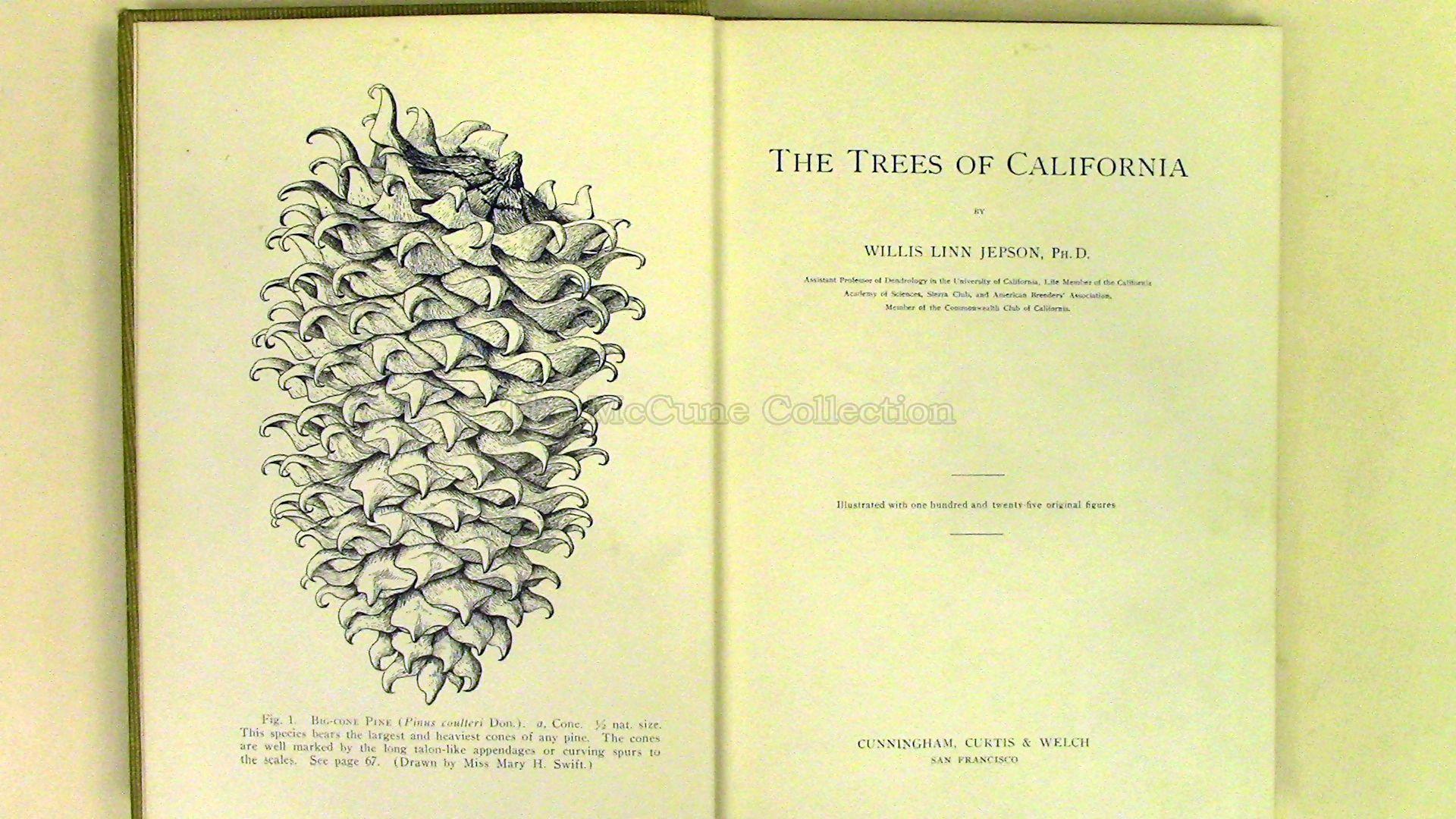 The Trees of California • The McCune Collection